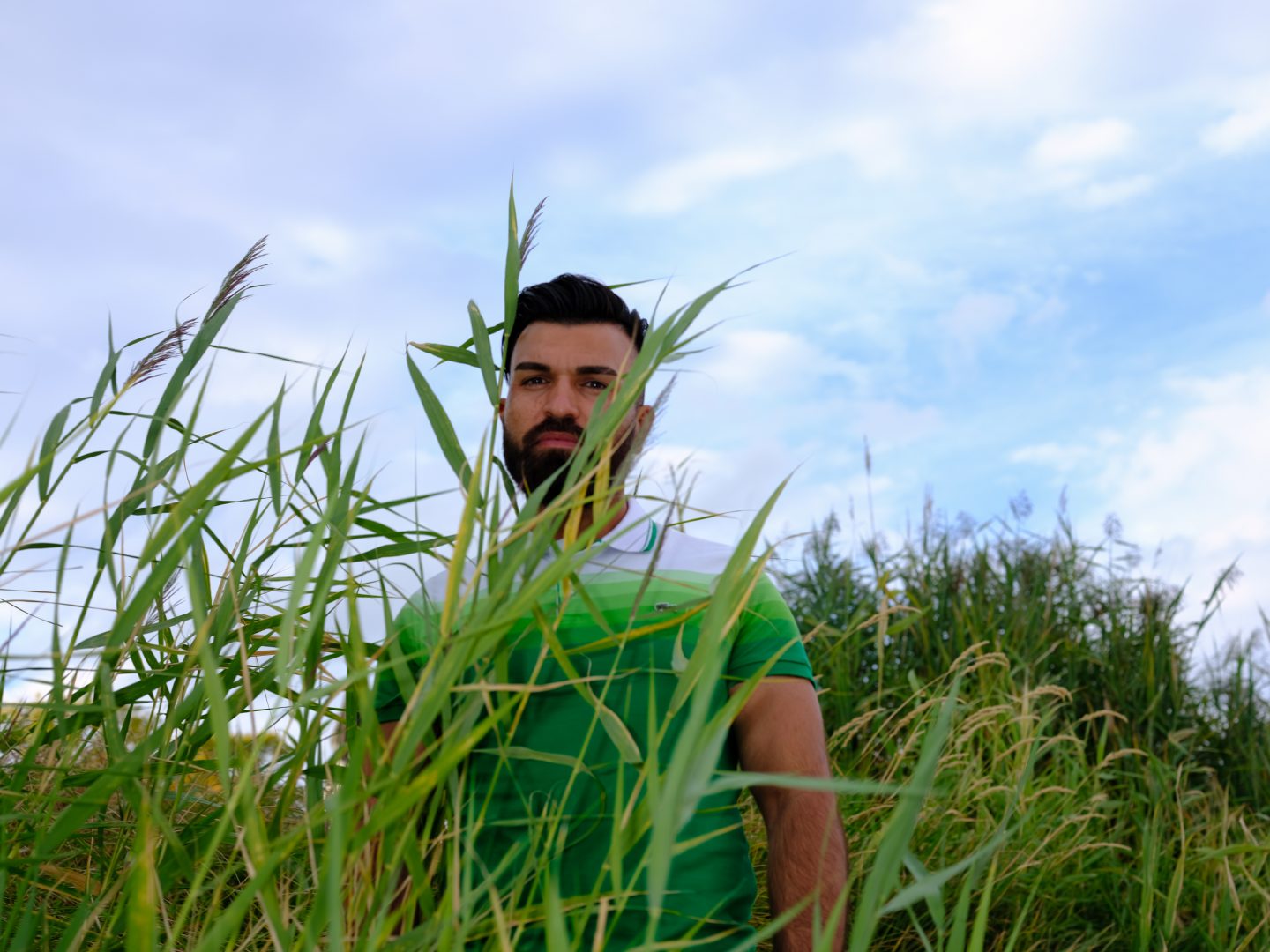 Commissions – Maria Sturm